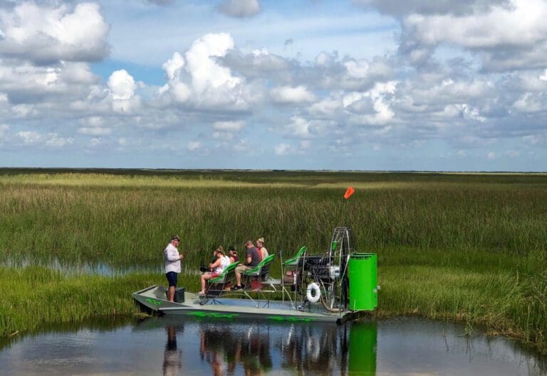 Learn More About the Everglades Ecosystem - ERGA